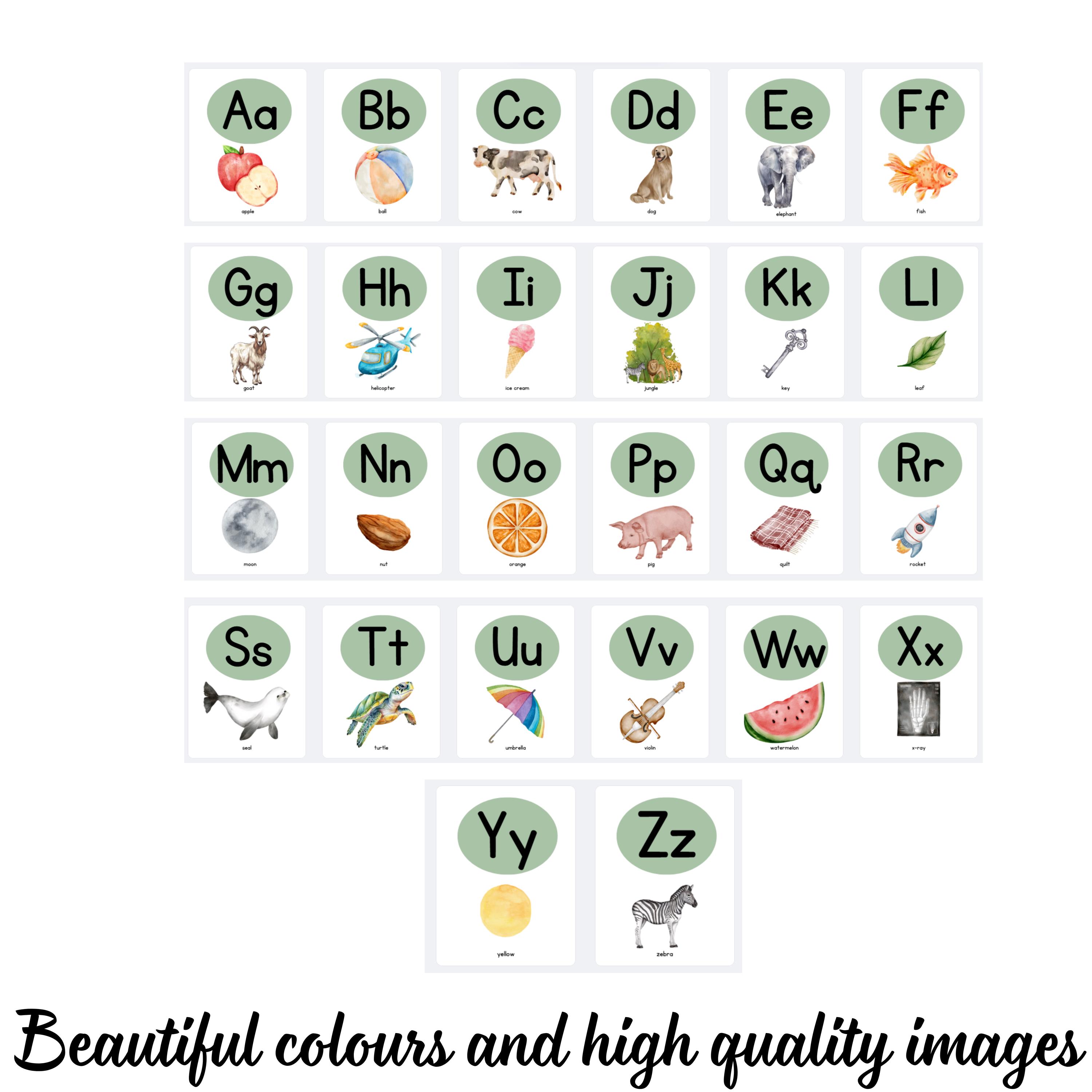 Alphabet Poster for Prek, Jungle Theme, Abc Flash Cards, Homeschool ...