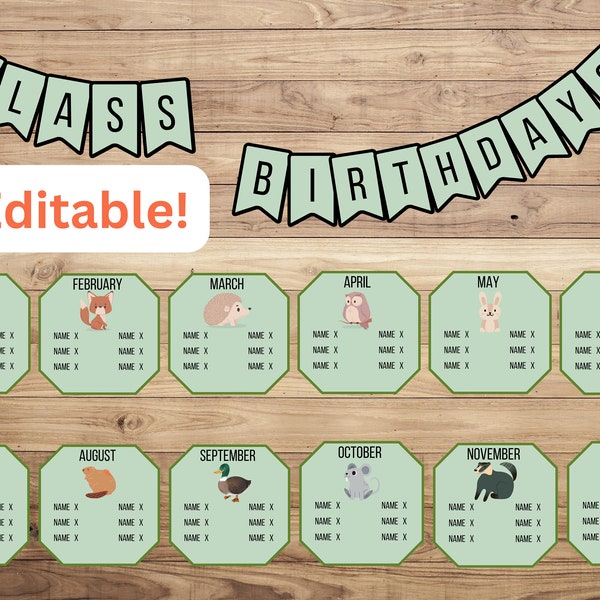 Classroom Birthday - Etsy