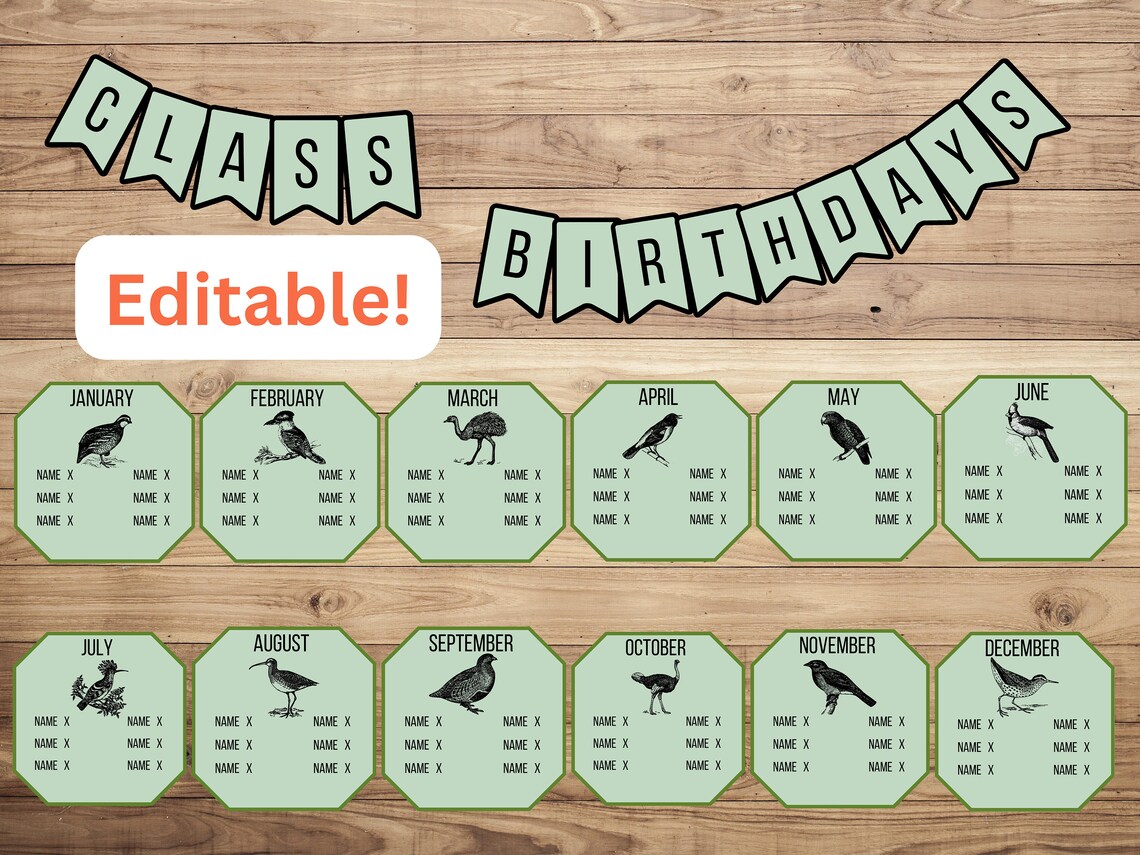 EDITABLE Bird Classroom Birthday Display, Primary School Cute Animal ...