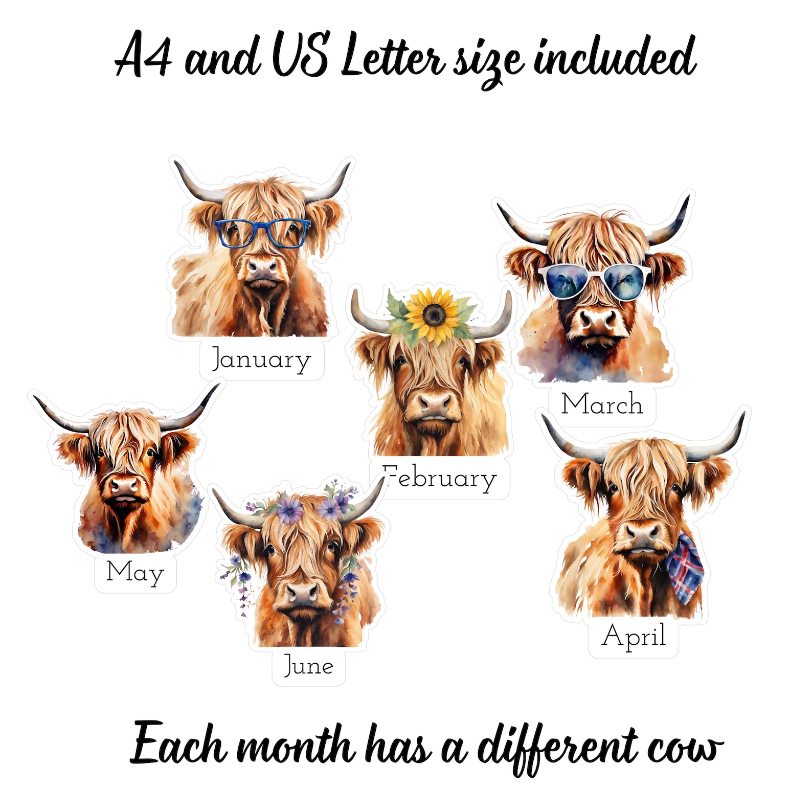 EDITABLE Highland Cow Classroom Birthday Display, Primary School ...