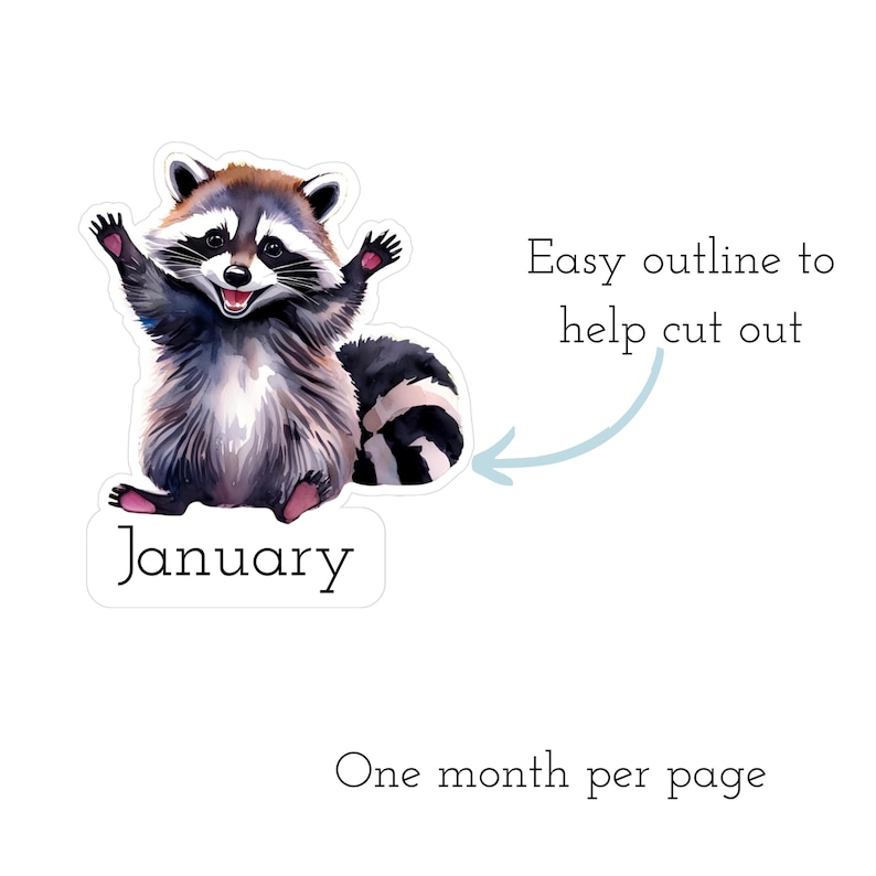 Cute Raccoon Classroom Display, Birthday Chart Kinder, Primary School ...
