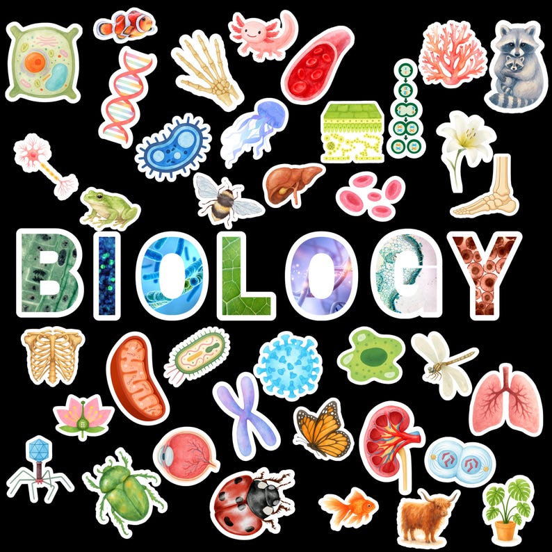Biology Bulletin Board Kit, STEM Display, Retro Science Classroom Decor ...