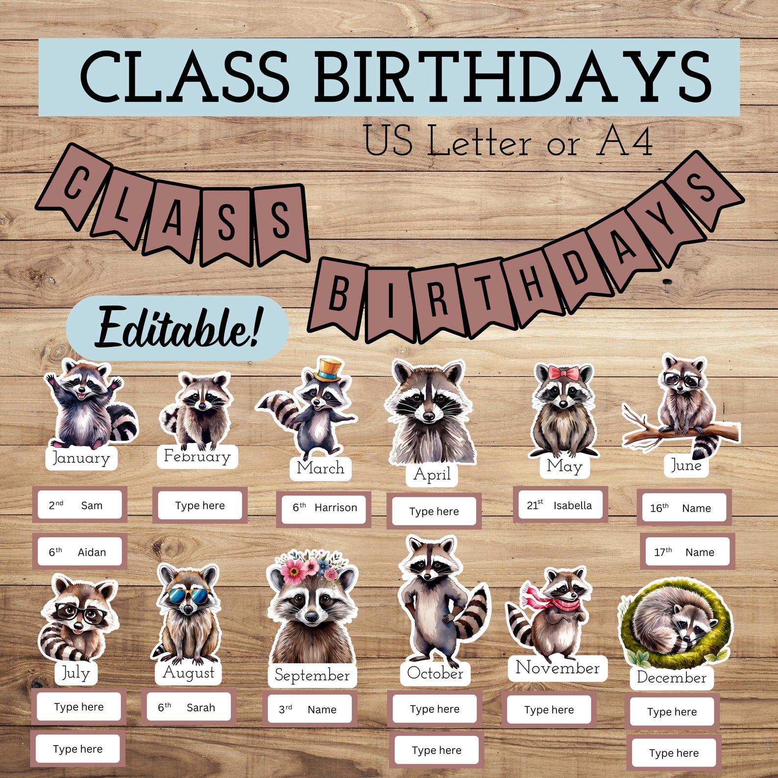 Cute Raccoon Classroom Display, Birthday Chart Kinder, Primary School ...