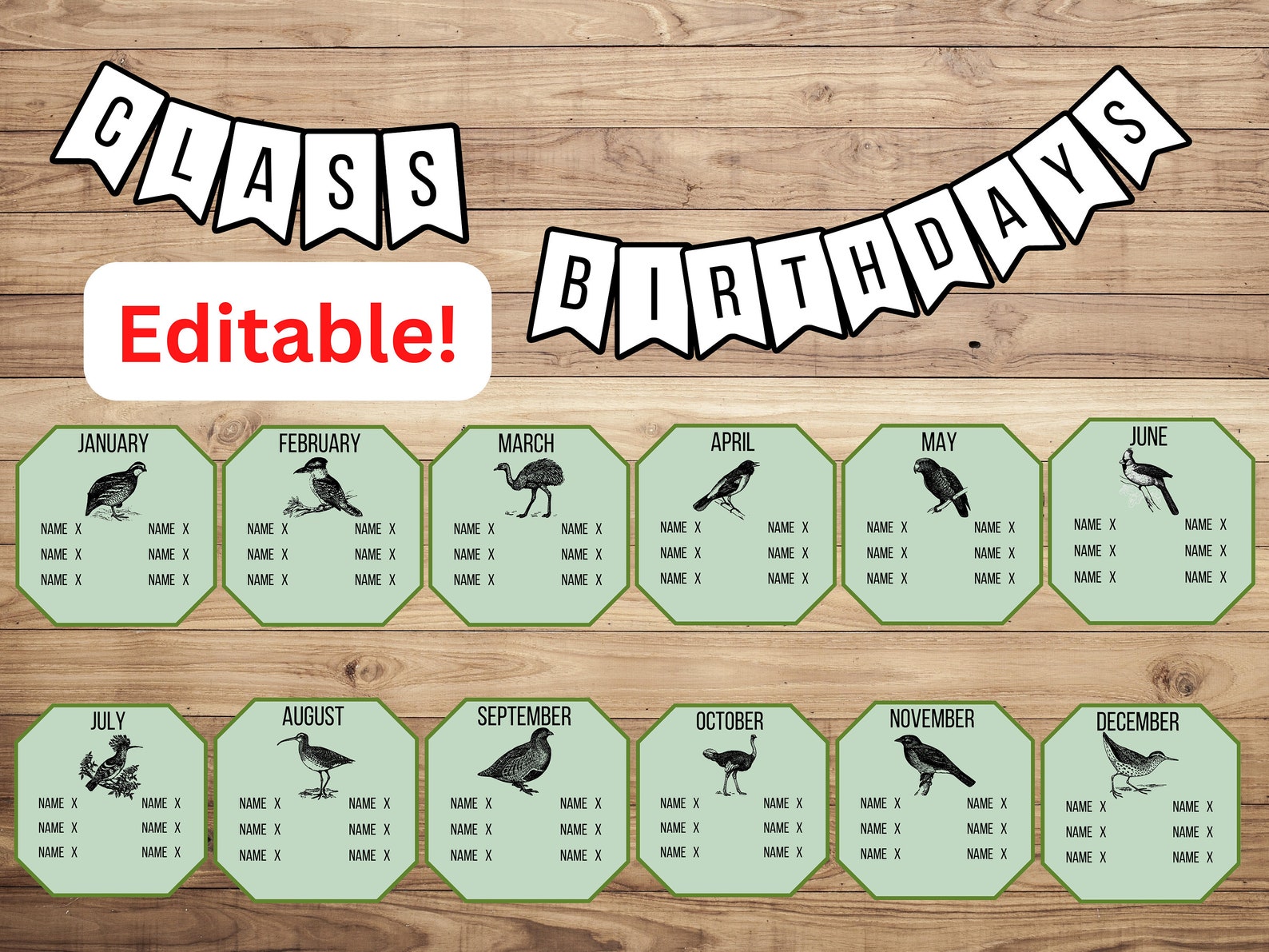 EDITABLE Bird Classroom Birthday Display, Primary School Cute Animal ...