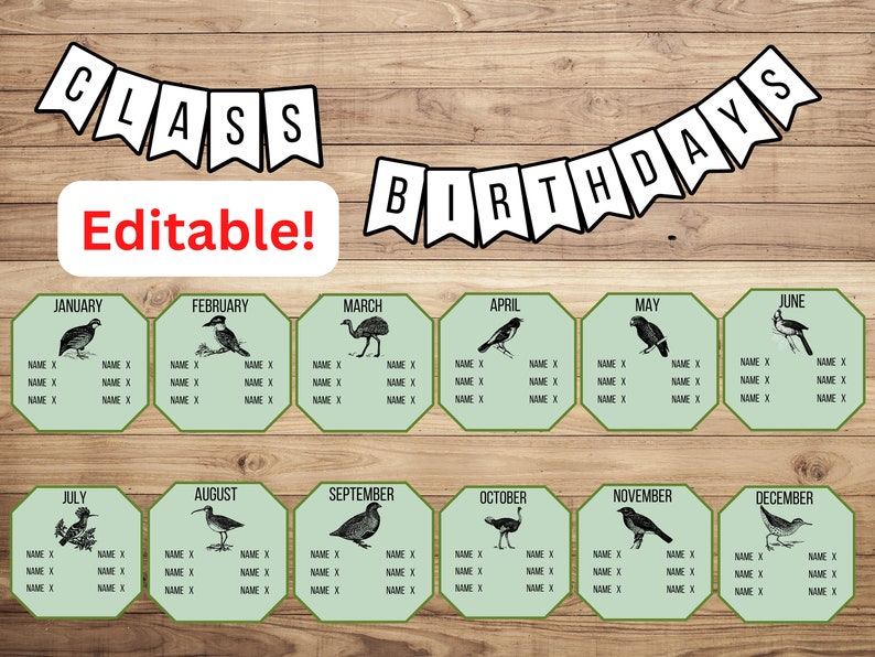 EDITABLE Bird Classroom Birthday Display, Primary School Cute Animal ...