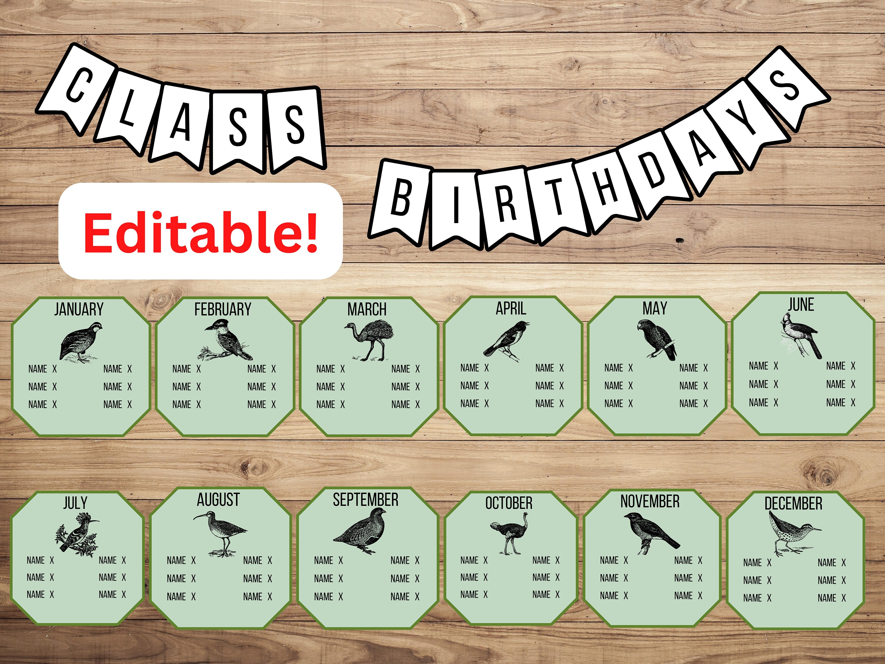 EDITABLE Bird Classroom Birthday Display, Primary School Cute Animal ...