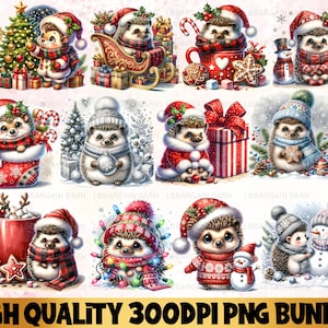Watercolor Hedgehog Clipart Bundle, Christmas Hedgehog PNG, Animal ...