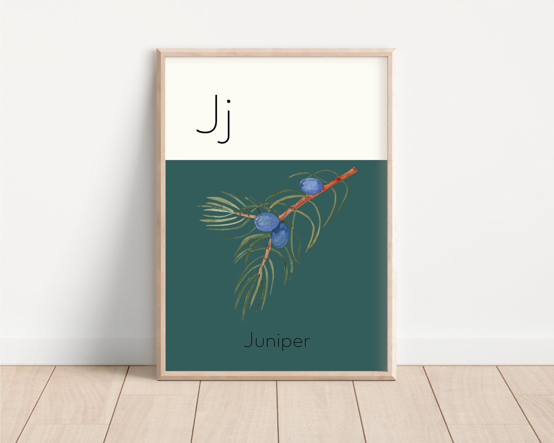 Nature Alphabet Poster • Letter J Poster • Nursery Wall Art ...