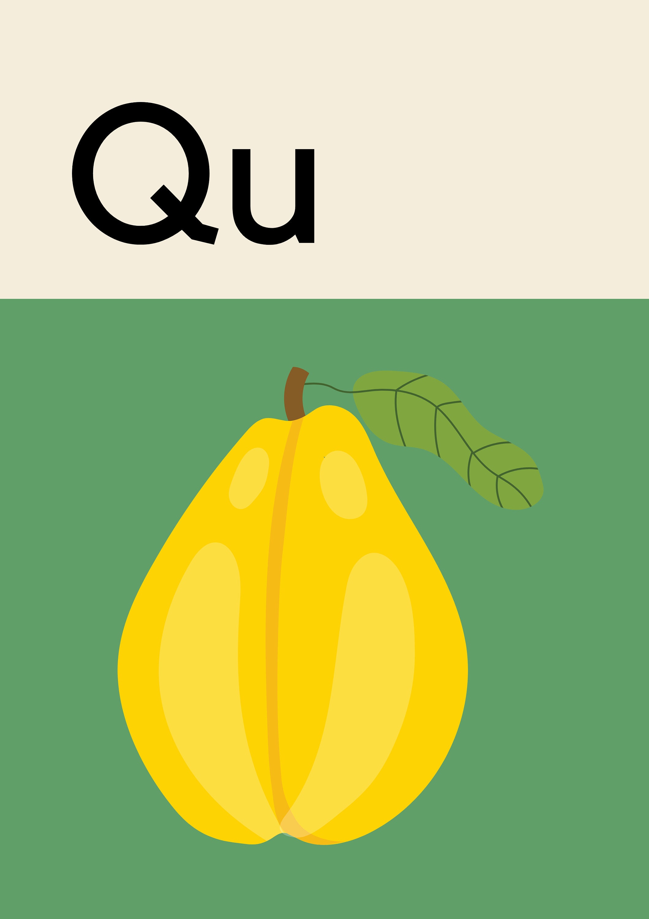 Letter Q Alphabet Poster • Q is for Quince • Learn ABC Print • Nursery ...