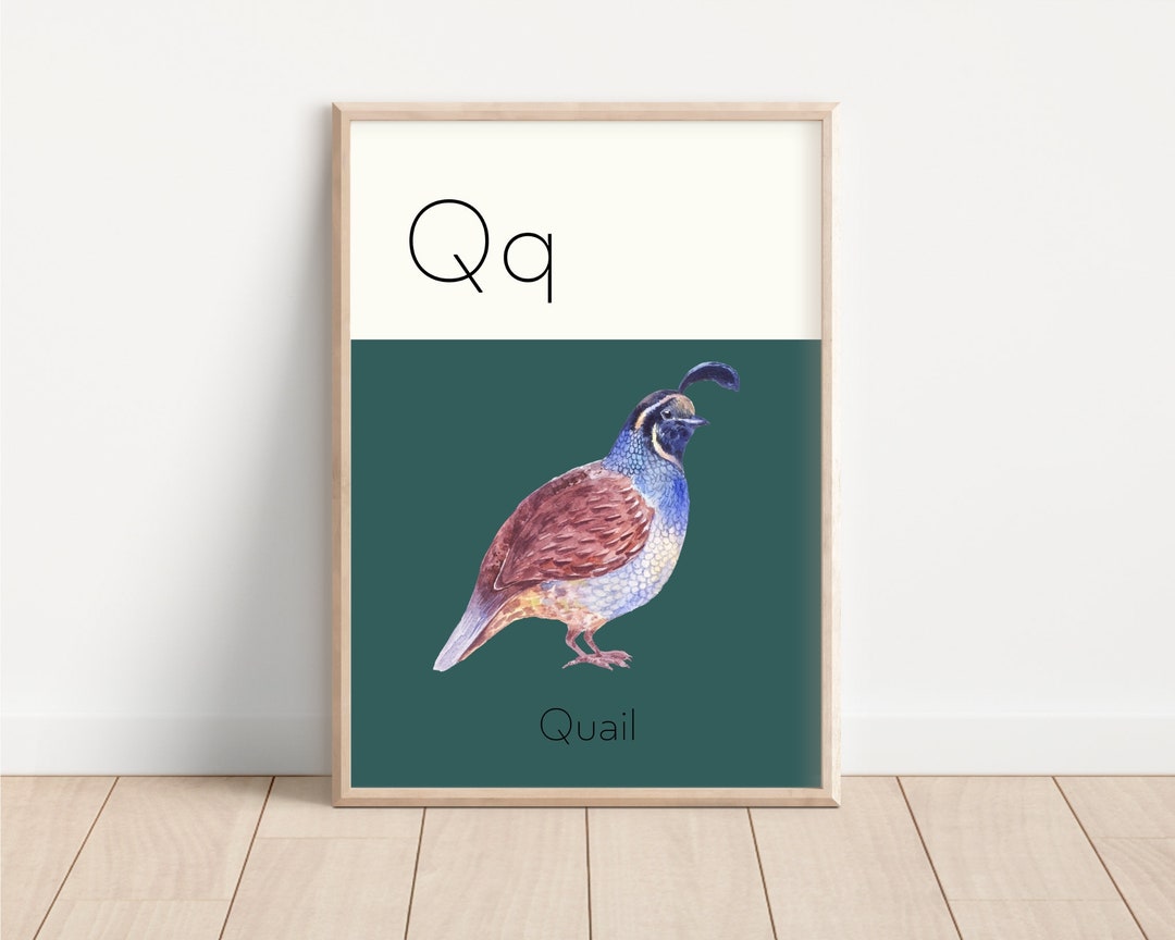 Nature Alphabet Poster • Letter Q Poster • Nursery Wall Art ...
