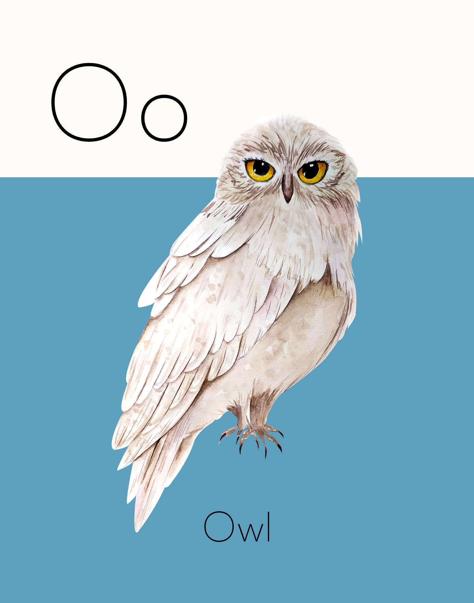Nature Alphabet Poster • Letter O Poster • Nursery Wall Art ...
