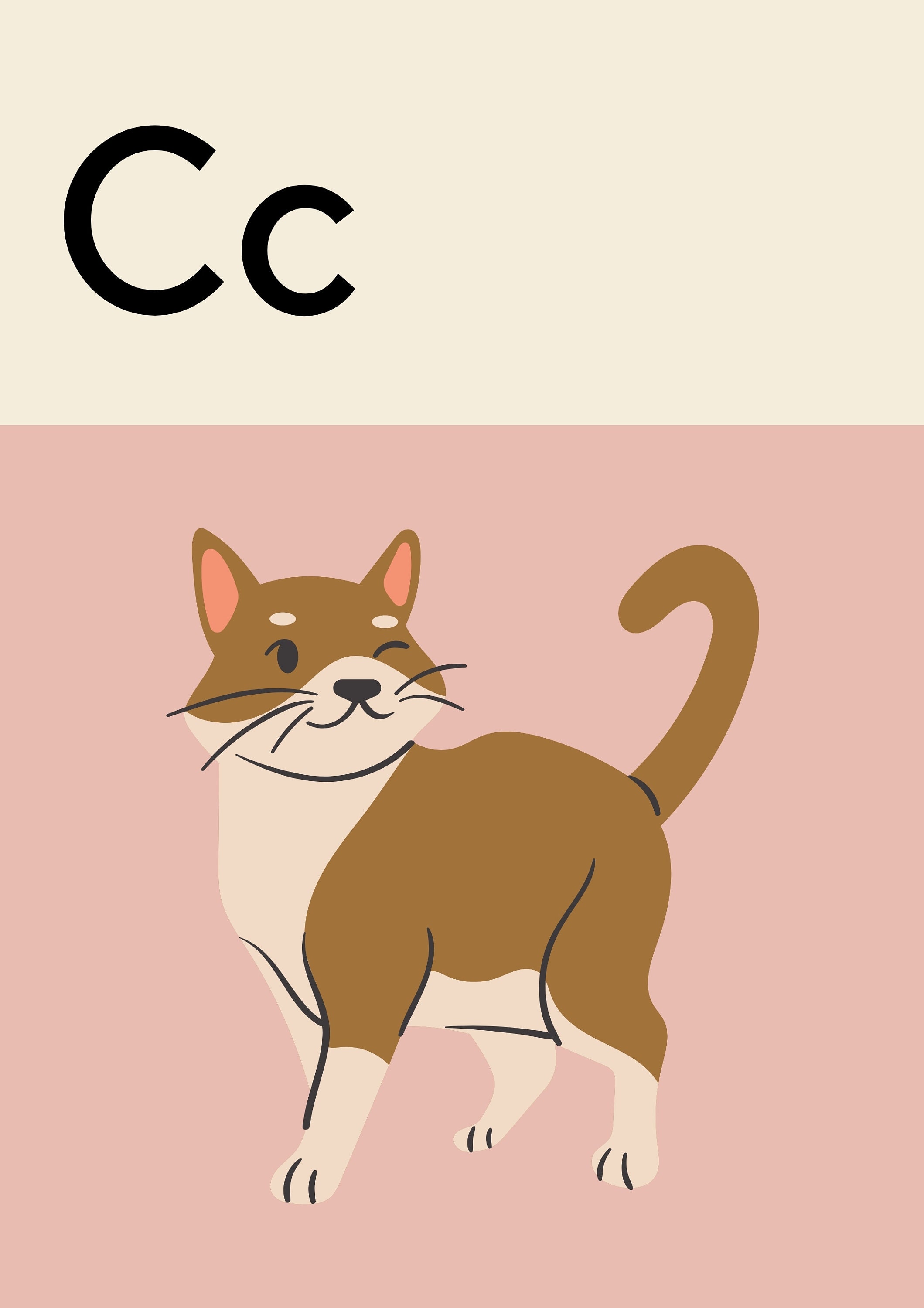 Letter C Alphabet Poster C is for Cat Learn ABC Print Nursery Decor ...