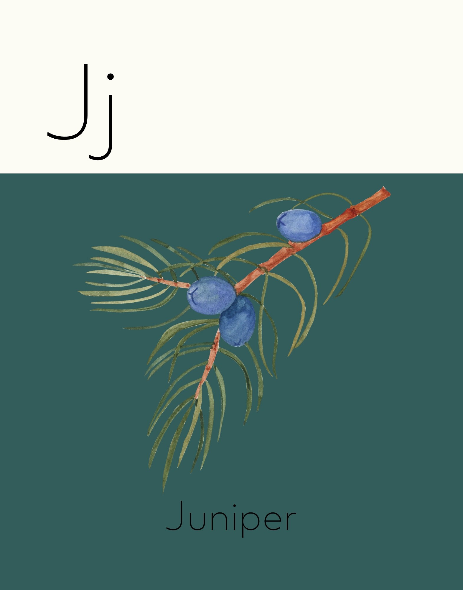 Nature Alphabet Poster • Letter J Poster • Nursery Wall Art ...