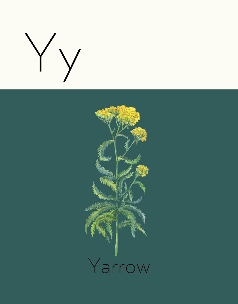 Nature Alphabet Poster Letter Y Poster Nursery Wall Art - Etsy