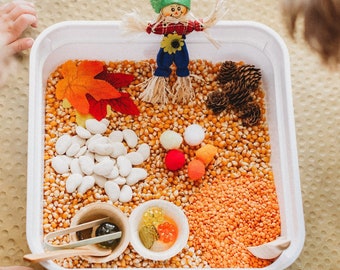 Fall Play Kit | Fall Sensory Bin | Gender Neutral Play | Montessori Toy ...