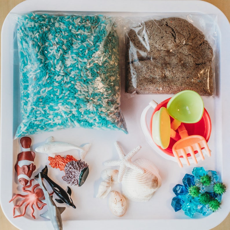 Ocean Play Kit Ocean Sensory Bin Under the Sea Play - Etsy