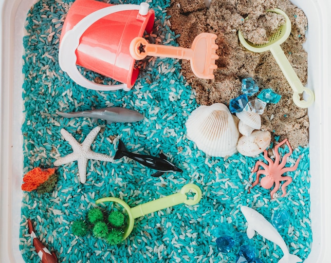 Ocean Exploration Sensory Bin, Montessori Under the Sea Play, Resin ...
