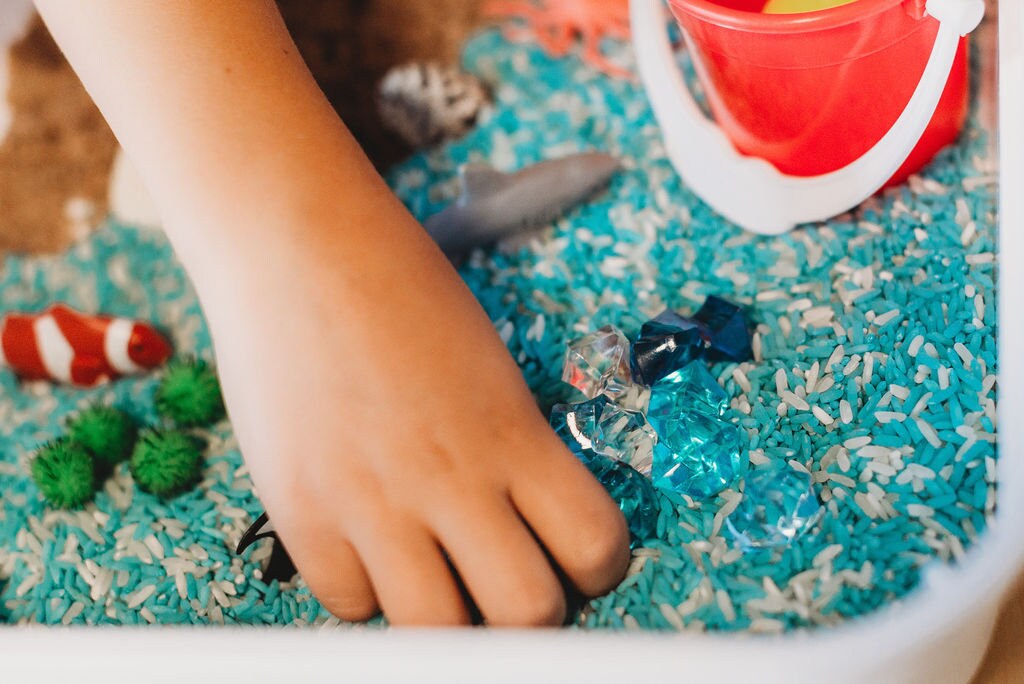 Ocean Play Kit Ocean Sensory Bin Under the Sea Play - Etsy