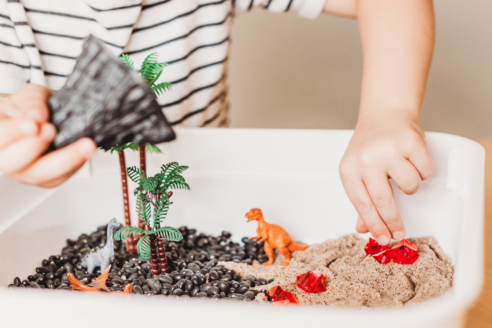 Dinosaur Play Kit | Dinosaur Sensory Bin | Gender Neutral Play ...