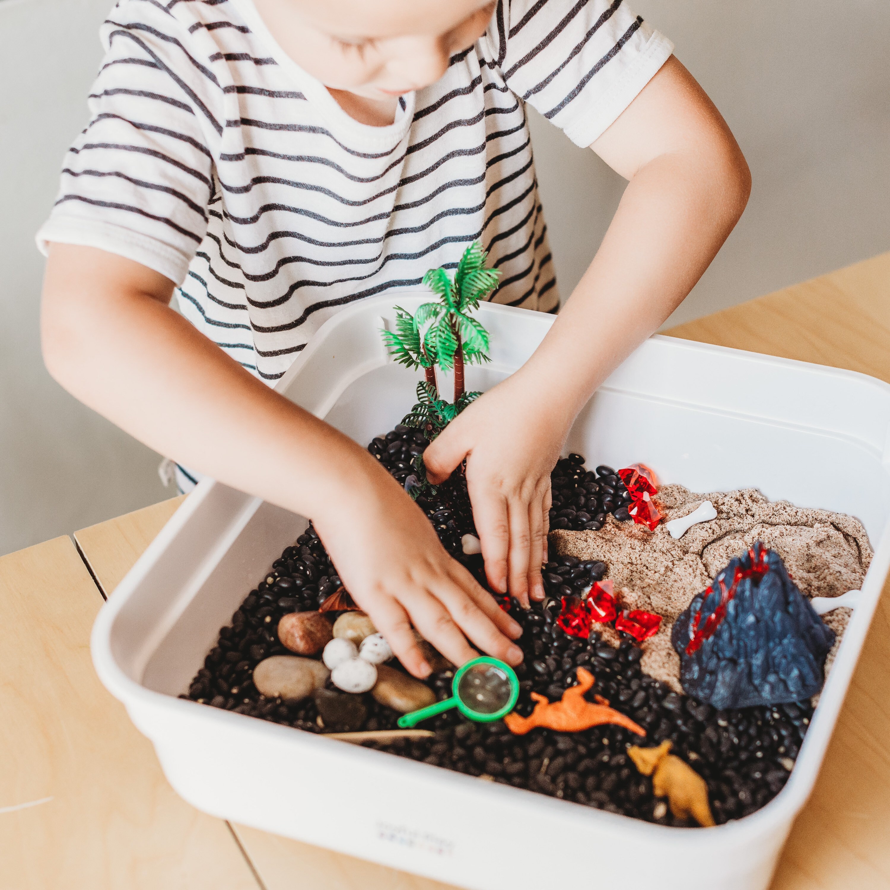 Dinosaur Play Kit | Dinosaur Sensory Bin | Gender Neutral Play ...