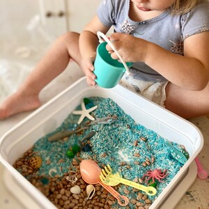 Ocean Play Kit | Ocean Sensory Bin | Under the Sea Play | Montessori ...