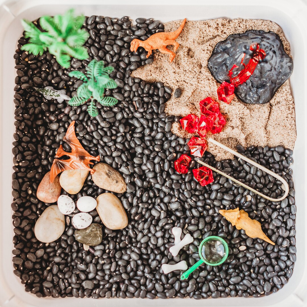 Dinosaur Play Kit | Dinosaur Sensory Bin | Gender Neutral Play ...