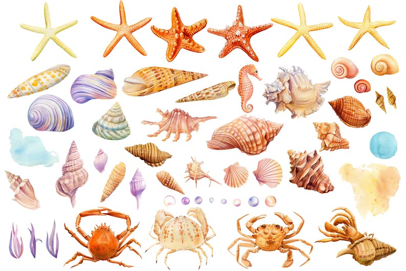 Ocean Play Stickers Sea Shells Crab and Starfish Peel & - Etsy