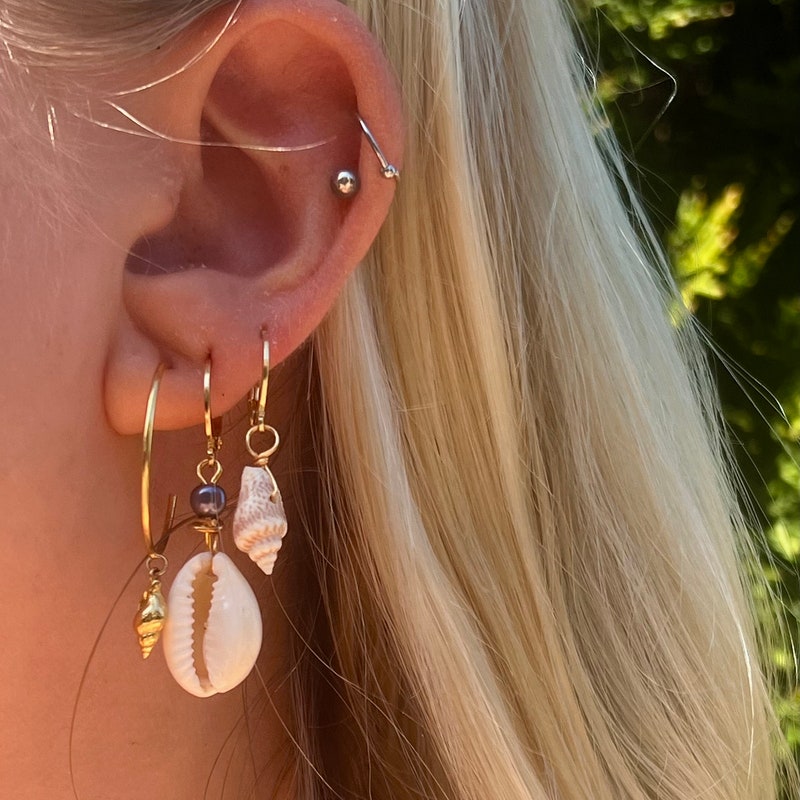 Shell Earrings - Etsy