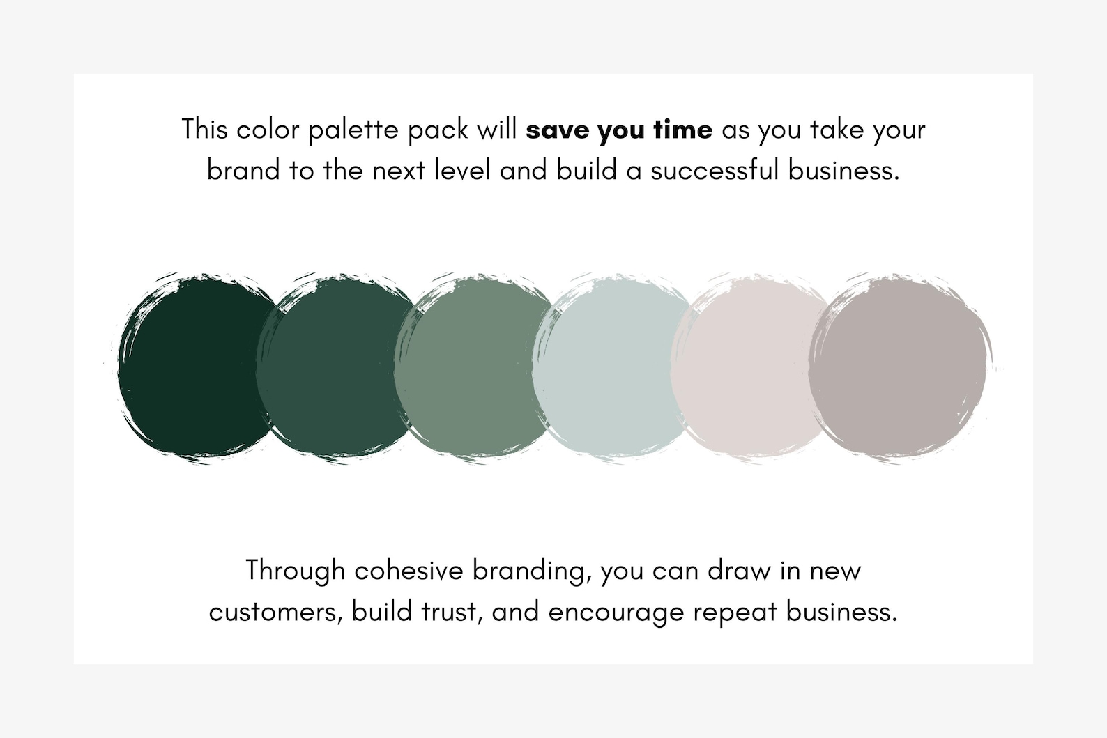 Eucalyptus Color Palette, Neutral Boho Branding for Website and Social ...