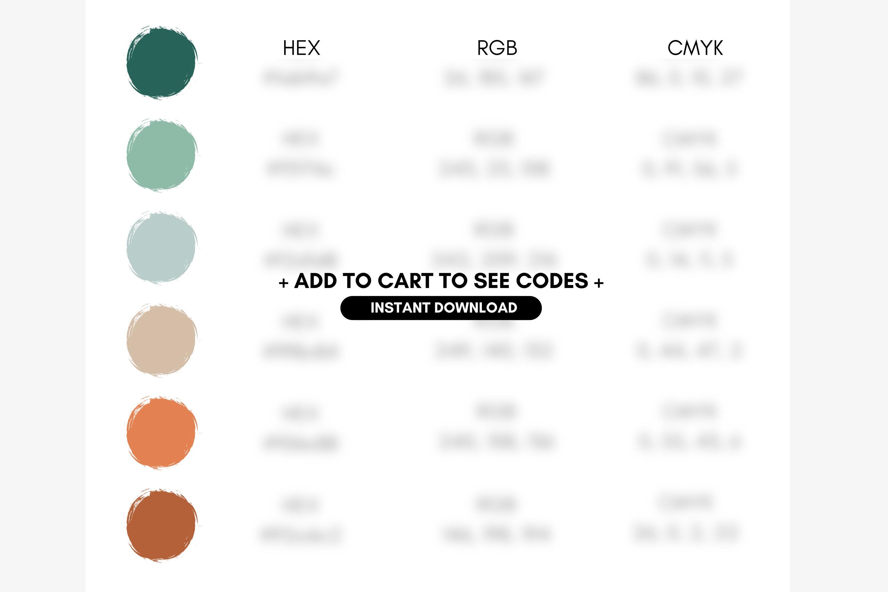 Desert Color Palette, Boho Aesthetic, Southwest Branding for Website ...
