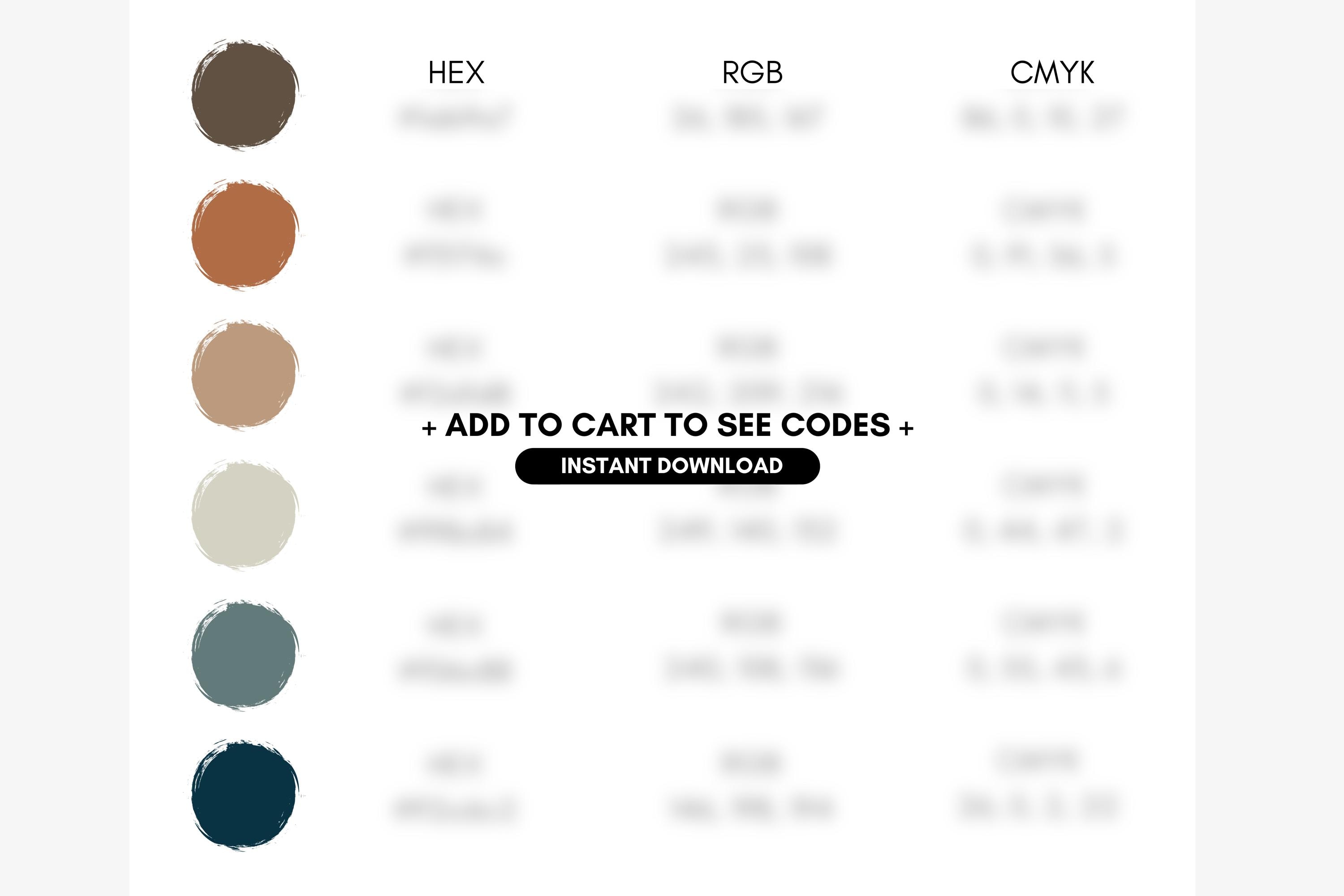 Retro Color Palette, Branding Colors, Milk Chocolate, Warm Terracotta ...
