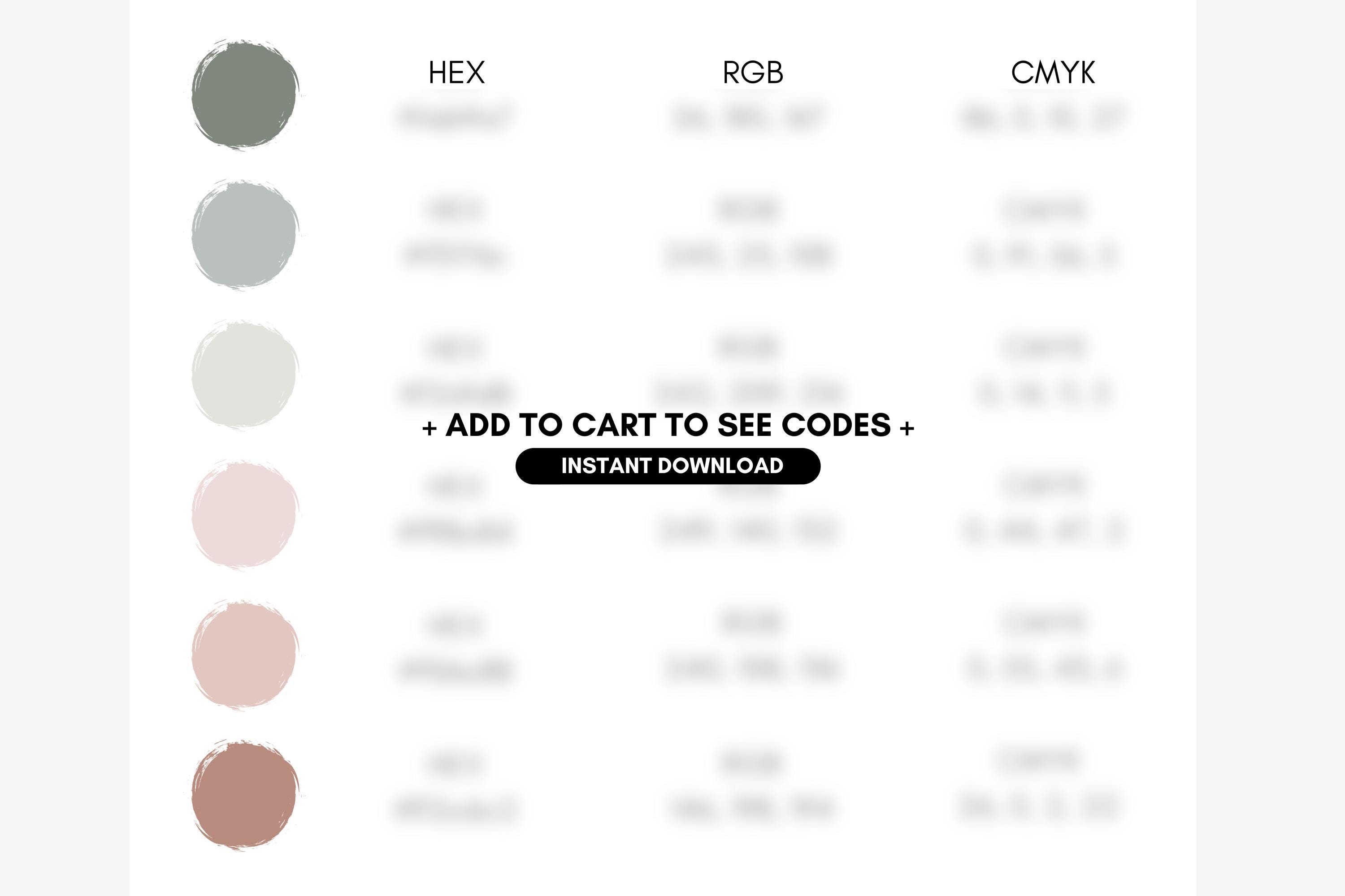 Dark Sage Green, Light Jade, Blush, Beige, Muted Terracotta, Branding ...