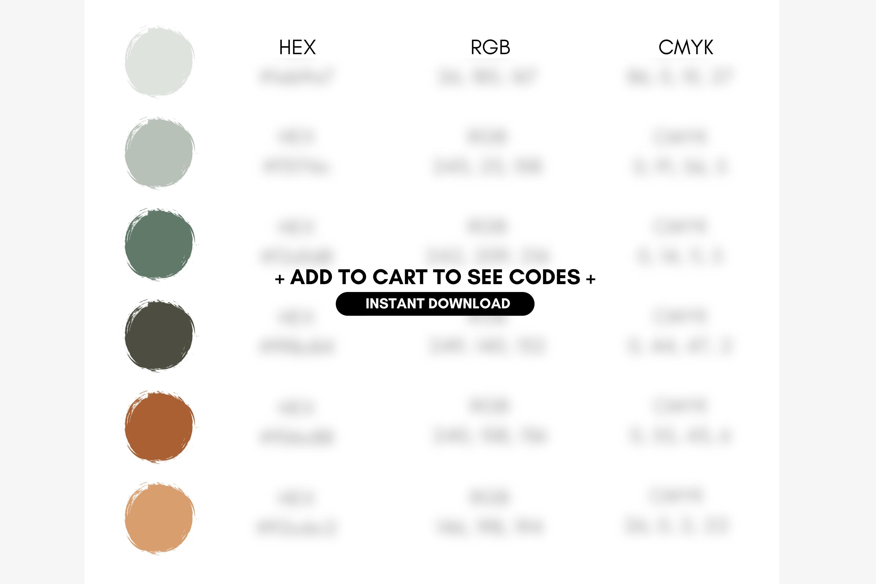 Kiwi Color Palette, Mint, Sage Green, Warm Terracotta, Boho Branding ...