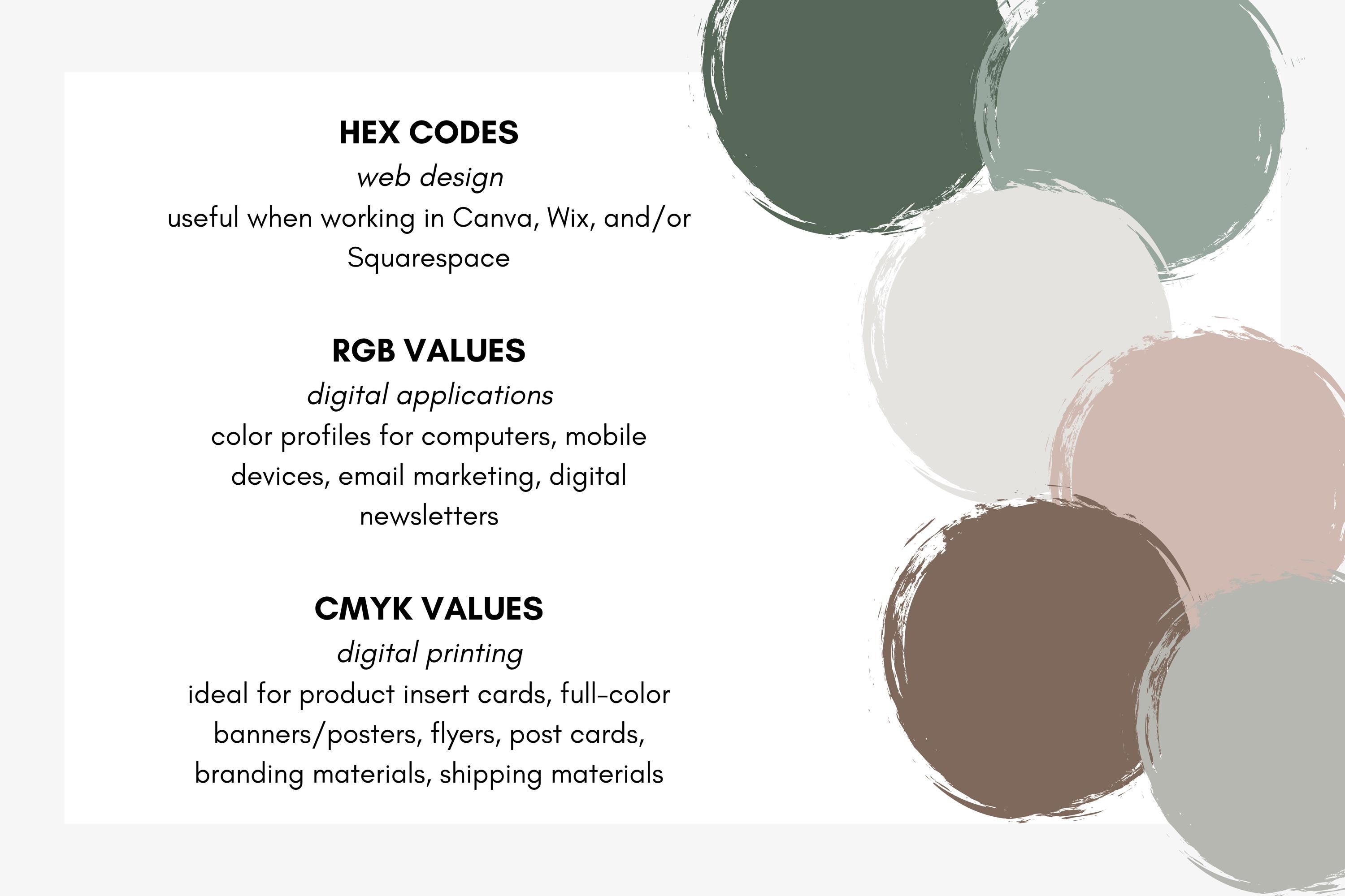 Eucalyptus Color Palette, Neutral Boho Branding for Website and Social ...