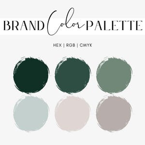 Eucalyptus Color Palette, Neutral Boho Branding for Website and Social ...