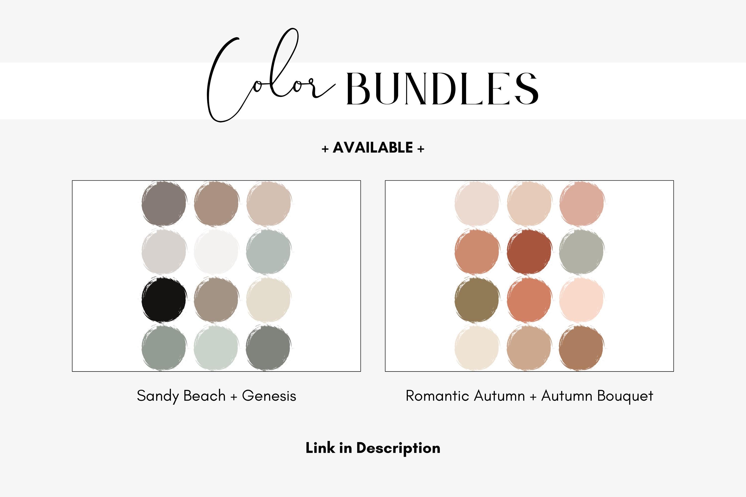 Spiced Cider Color Palette, Cozy Fall Branding, Dark Brown, Burnt ...