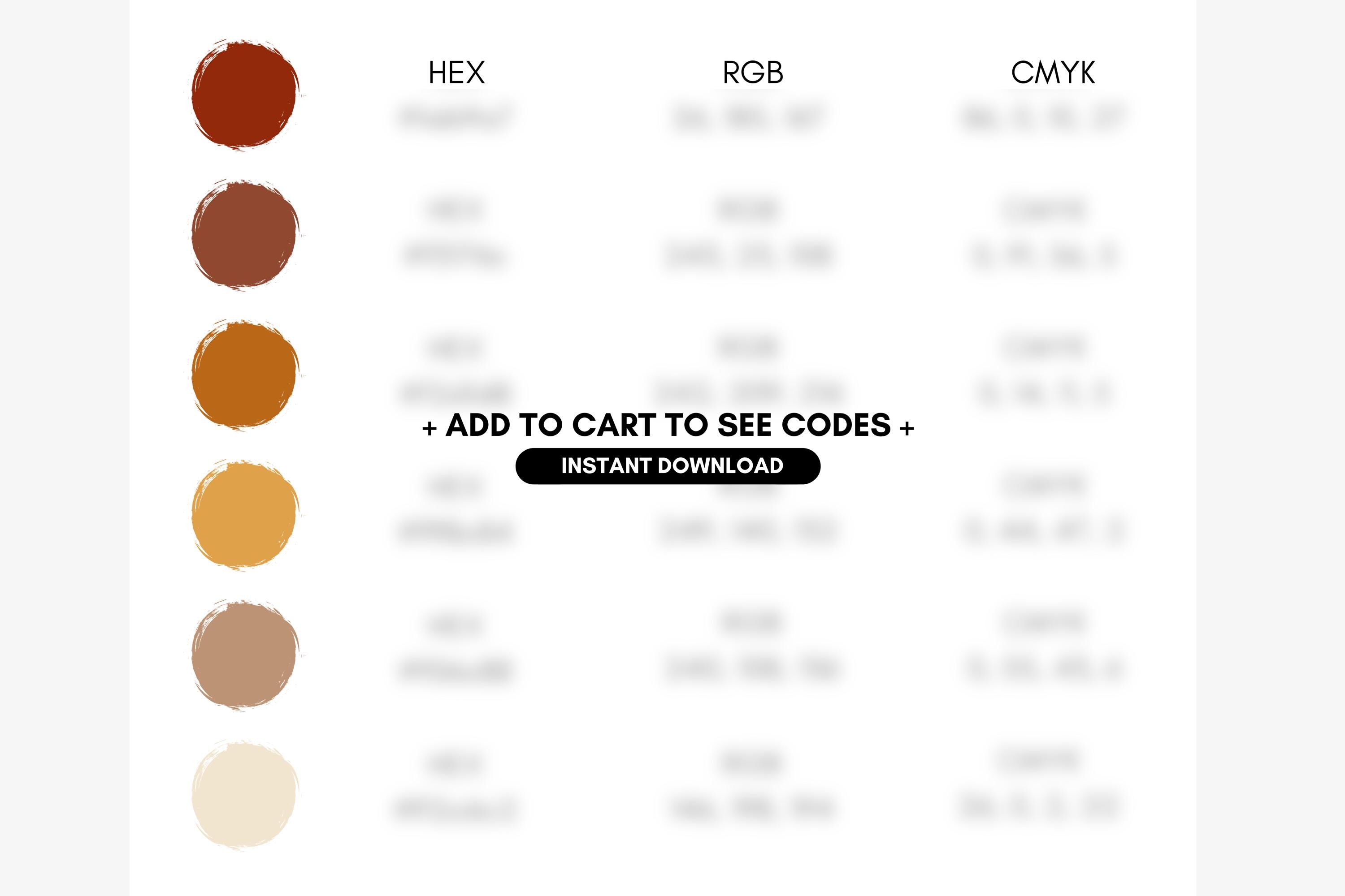 Pumpkin Spice Autumn Color Palette for DIY Branding Design, Fall Brand ...