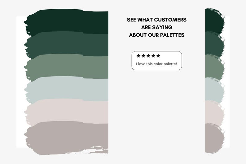 Eucalyptus Color Palette, Neutral Boho Branding for Website and Social ...