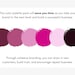 Dramatic Pink Color Palette, Small Business Branding Colors, Port Red ...