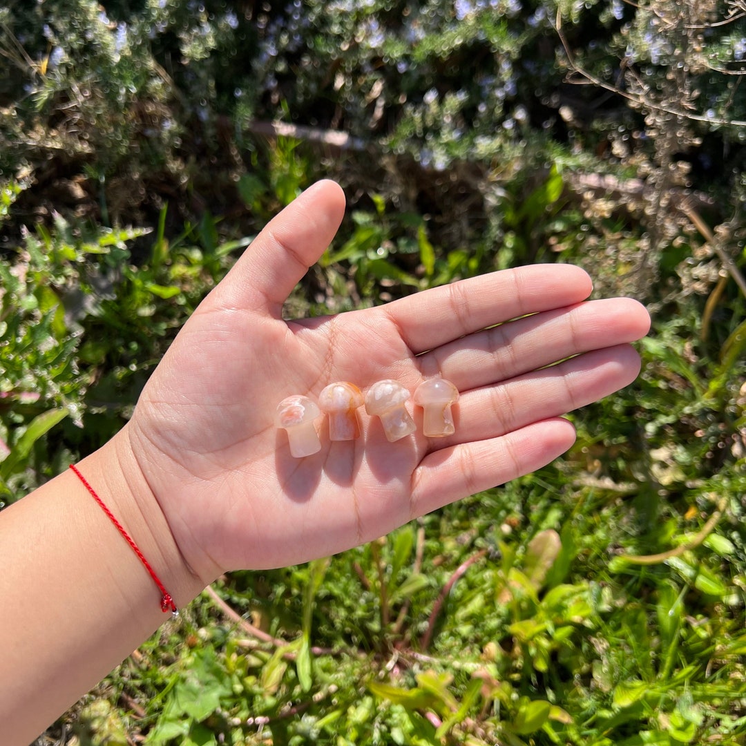 One Mini Mushroom Flower Agate Crystal Carving, Mini Flower Sakura ...