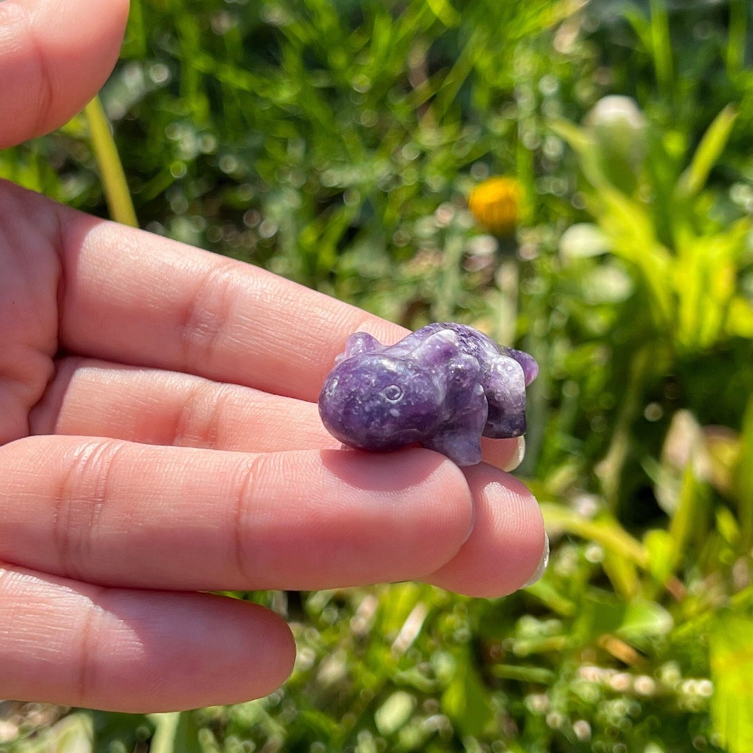 Axolotl Lepidolite Crystal Craving, Cute Axolotl Crystal, Purple Cynops ...