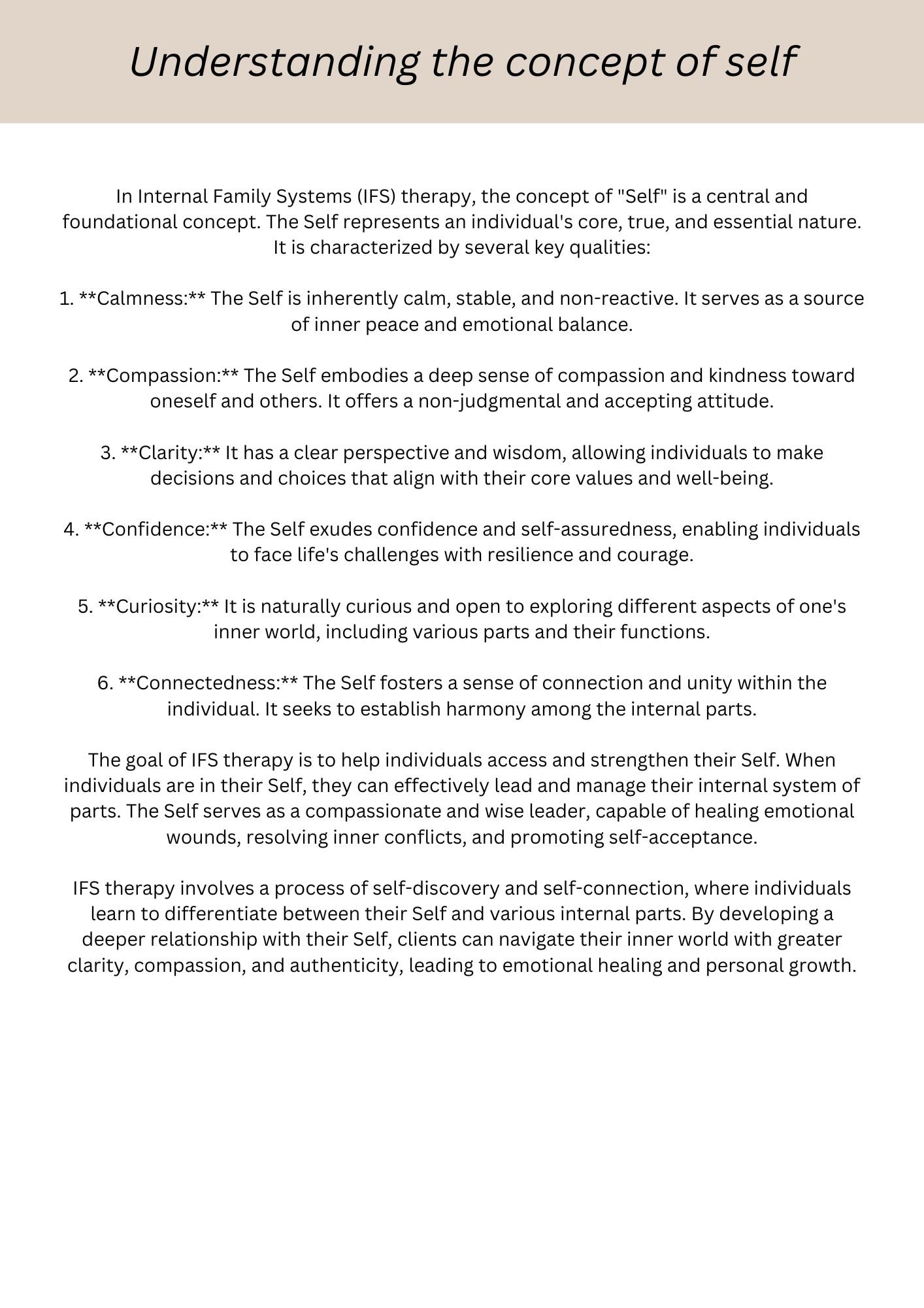 Internal Family Systems Workbook - Etsy