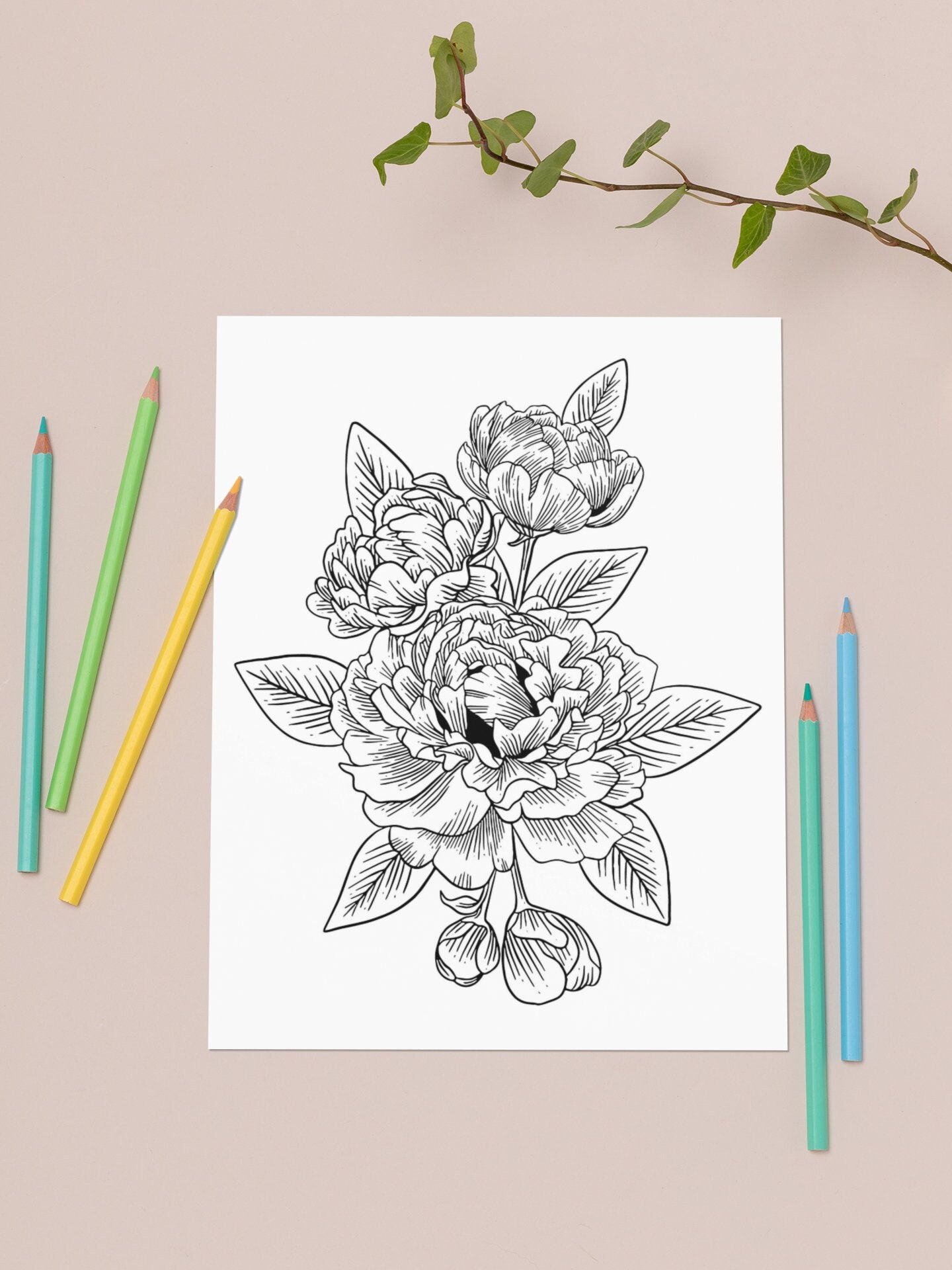 Botanic Coloring Pages, Coloring Sheets Digital Download, Botanical ...