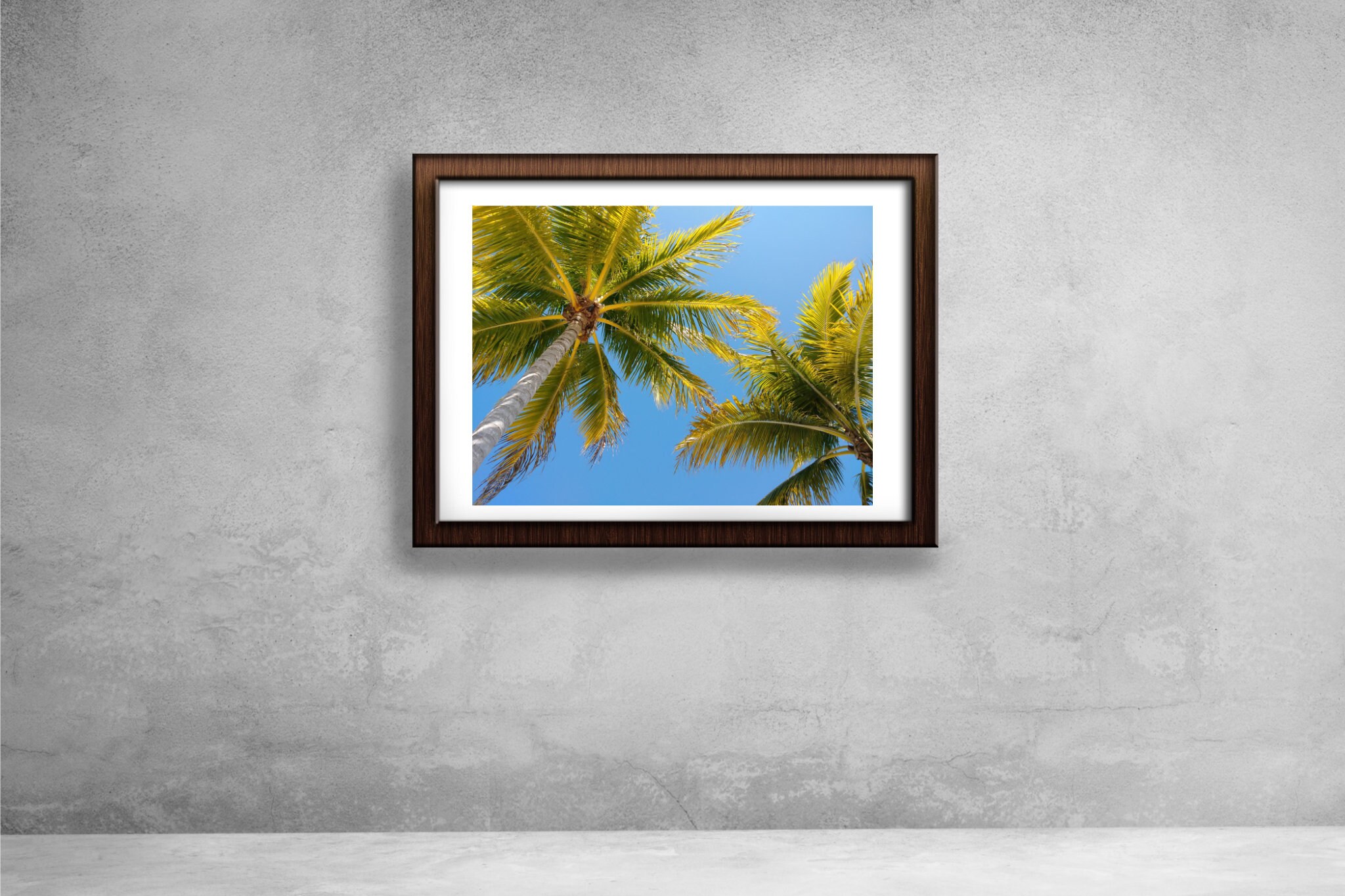 Printable Palm Tree Photo Digital Download - Etsy