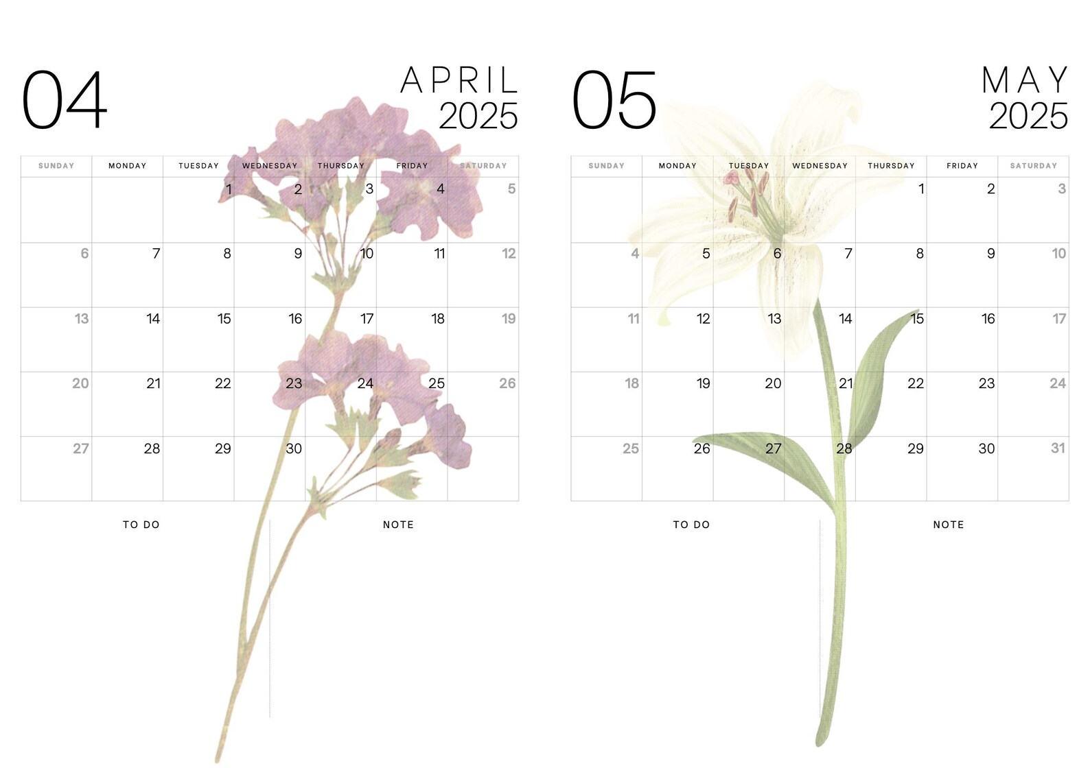 2025 in Full Bloom: Your Floral Calendar | Calendar Template | 2025 ...