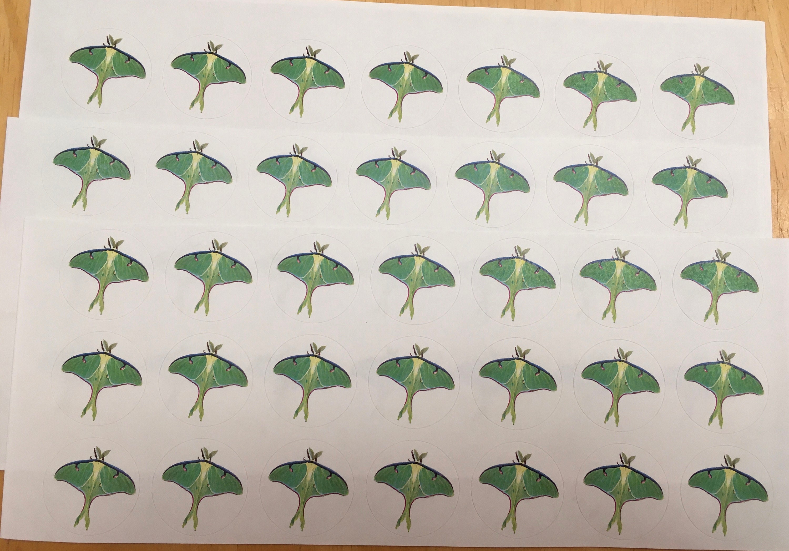 Luna Moth Stickers Envelope Seals Letters Butterfly Insect Bug Circle ...