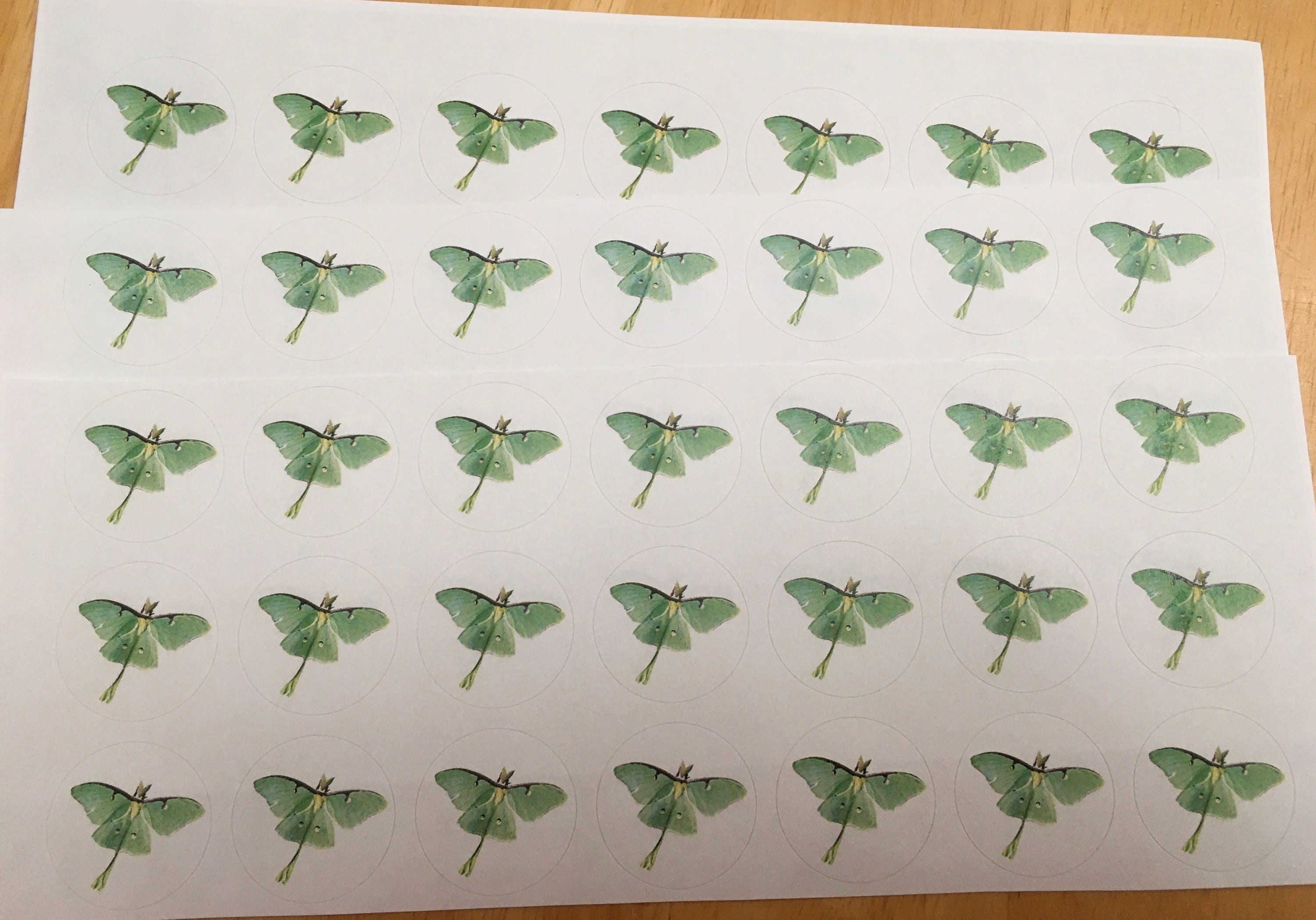 Luna Moth Stickers Envelope Seals Letters Butterfly Insect Bug Circle ...