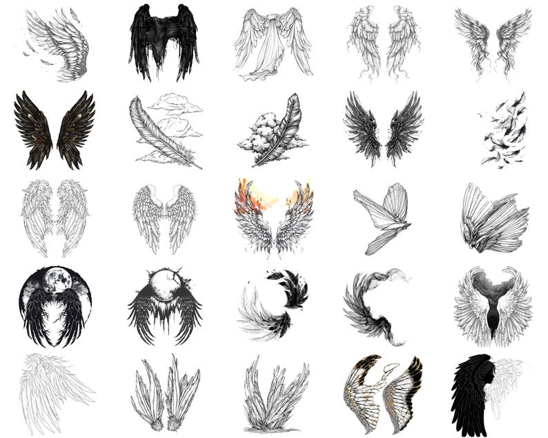100+ Fallen Angel Wings Procreate Stamps | Procreate Brushes | Instant ...