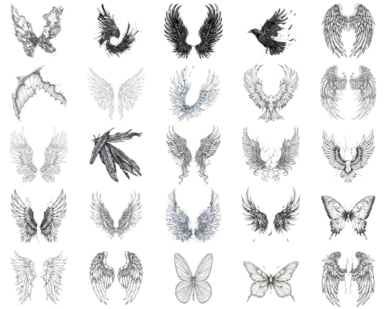 100+ Fallen Angel Wings Procreate Stamps | Procreate Brushes | Instant ...