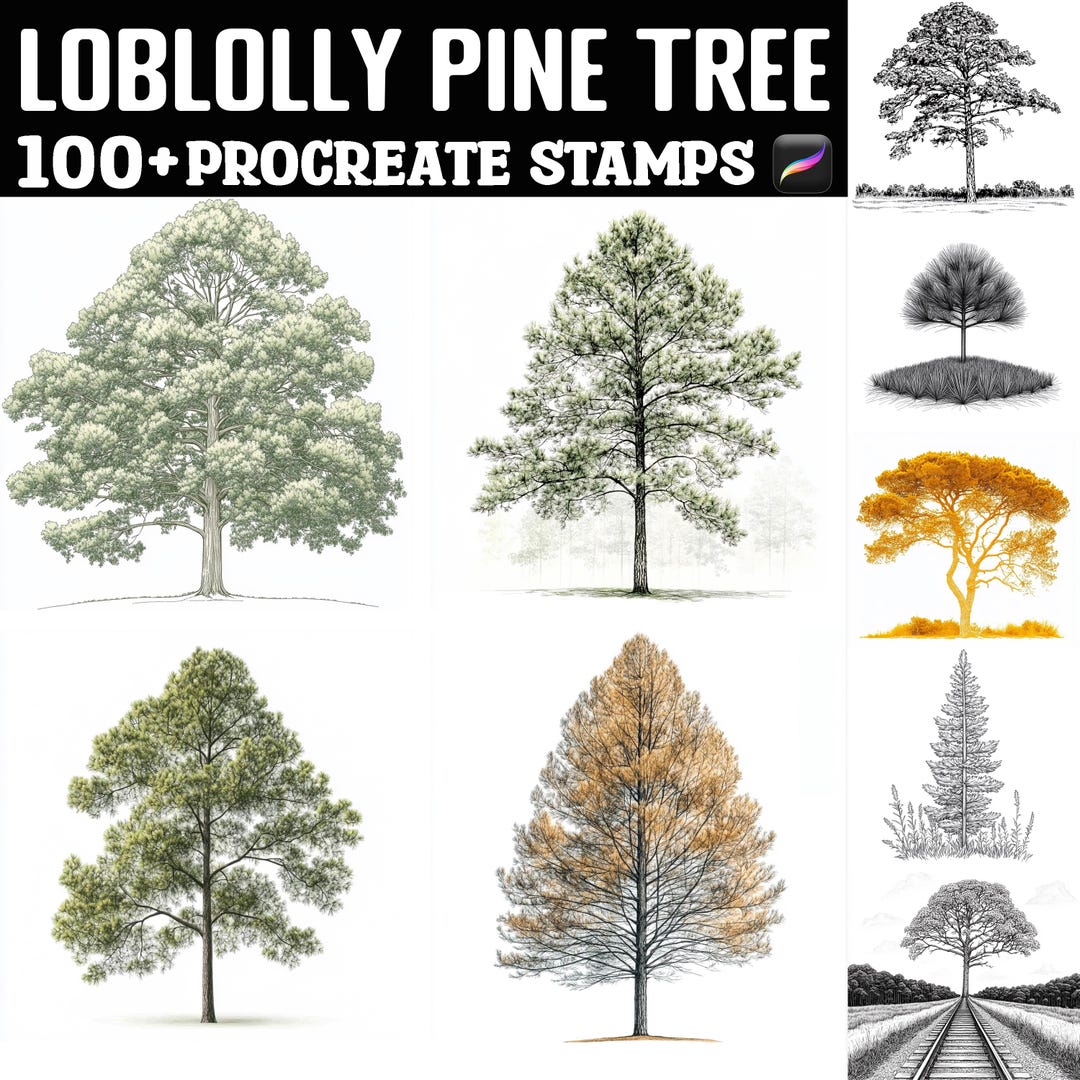 100+ Lob-lolly Pine Tree Procreate Stamps | Procreate Brushes | Instant ...